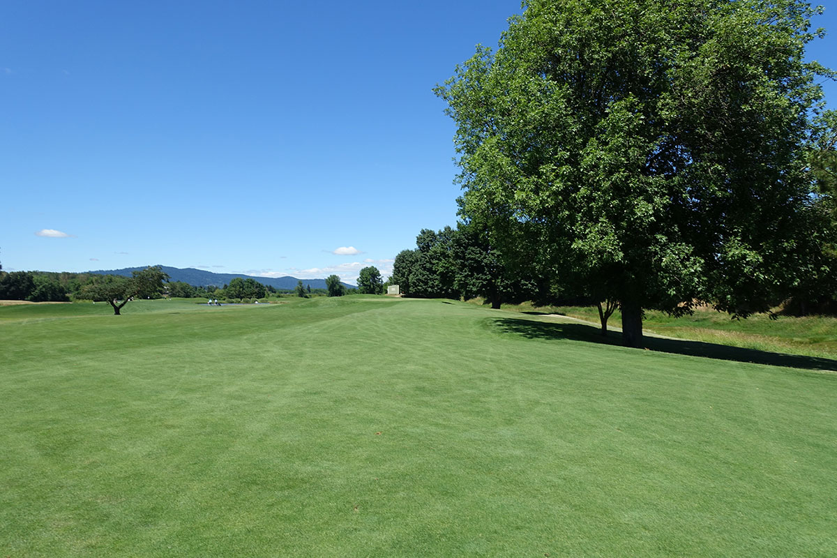 Trysting Tree Golf Club（ゴルフ場詳細と写真集）